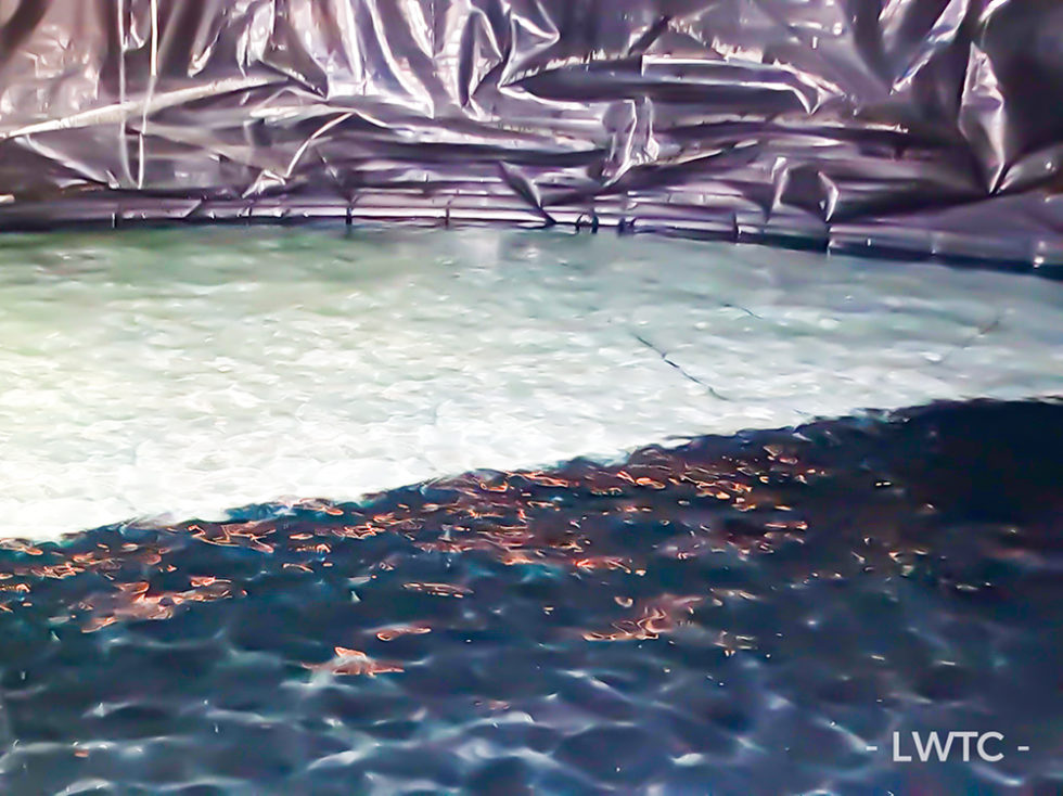 Water Tank Cleaning-Zero Downtime - Leigh's Water Tank Cleaning